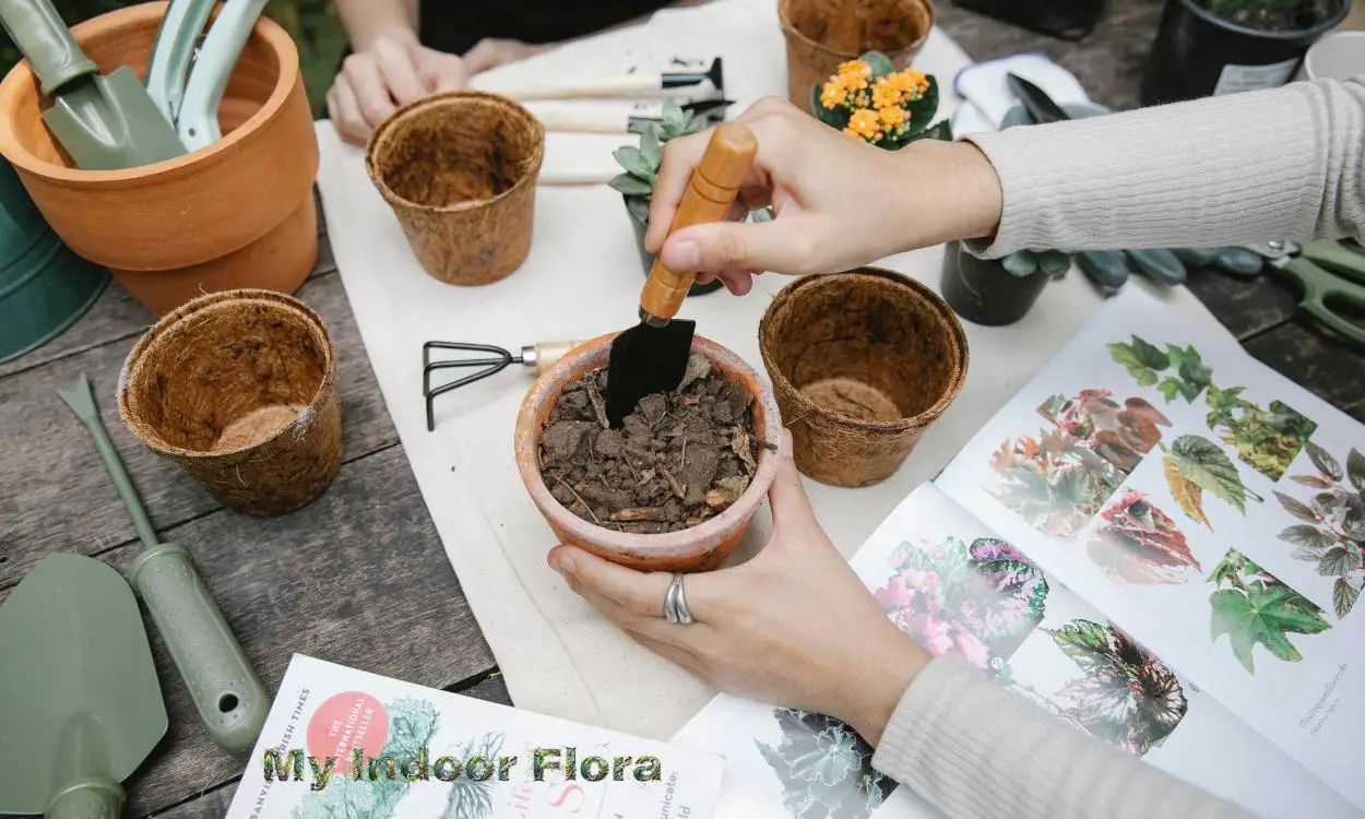 The Use of Inorganic Components in Potting Mixes – My Indoor Flora